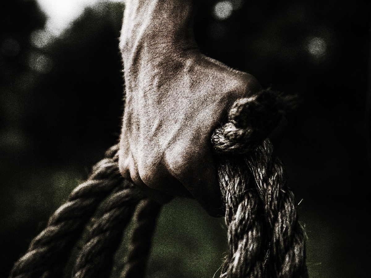 Descubre todo sobre el Grip Walk: características, compatibilidades y ...